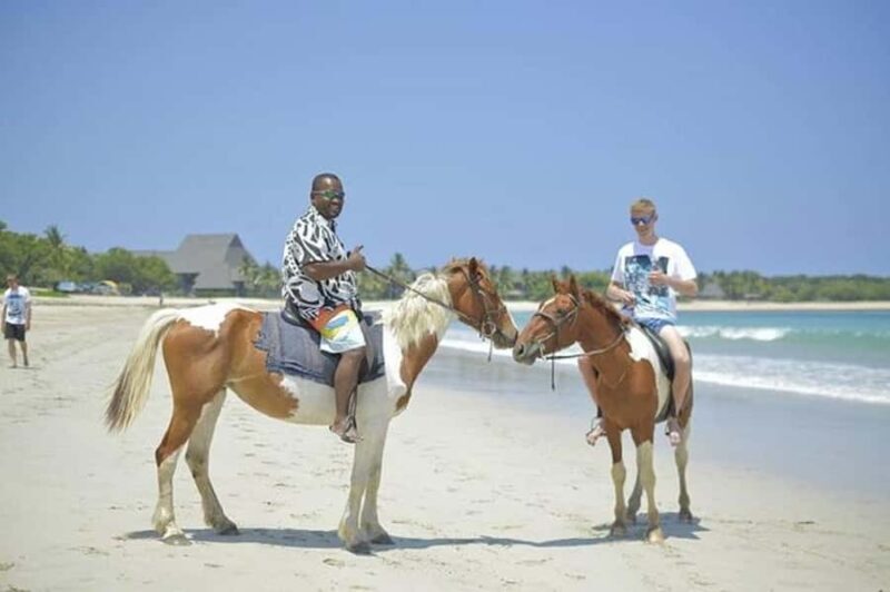Fiji: Beach Horseback Riding Tour with Lunch and Transfer - The Horses and the Environment