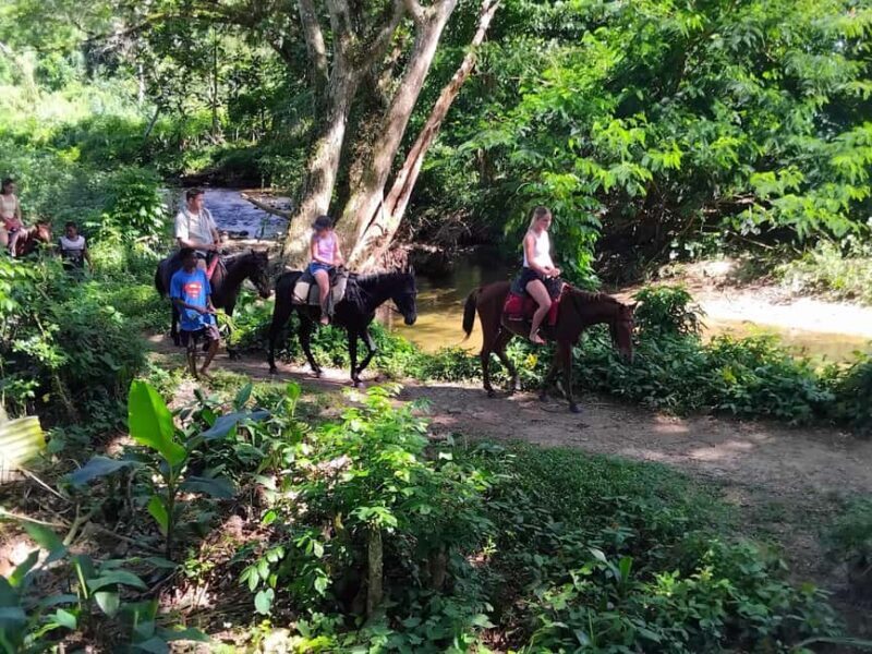 Fiji Biausevu waterfall & Village Tour - What You Can Expect from the Tour