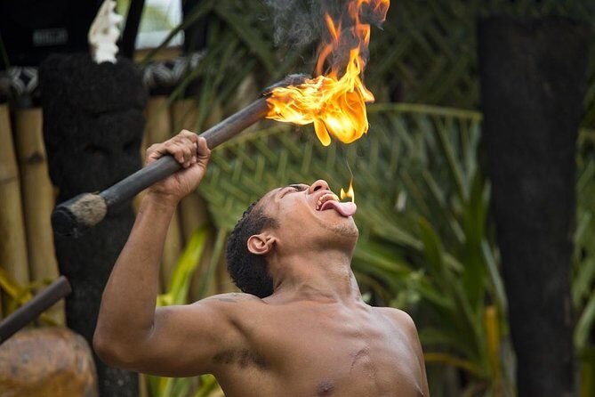Fiji Cultural Full Day Island Cruise With Lunch & Transfers - Why Choose This Tour?