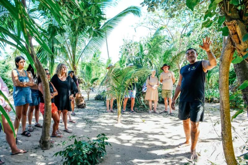 Fiji: Day and Night Combo Tour - Who Will Love It?