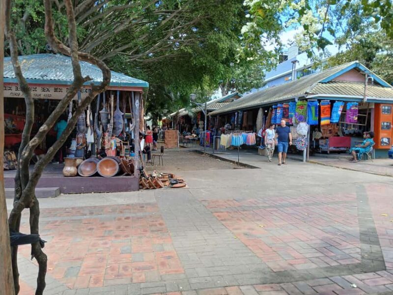 Fiji: Discover Nadi with Sabeto Hotspring and Mudpool Tour - Introduction to the Nadi Tour Experience