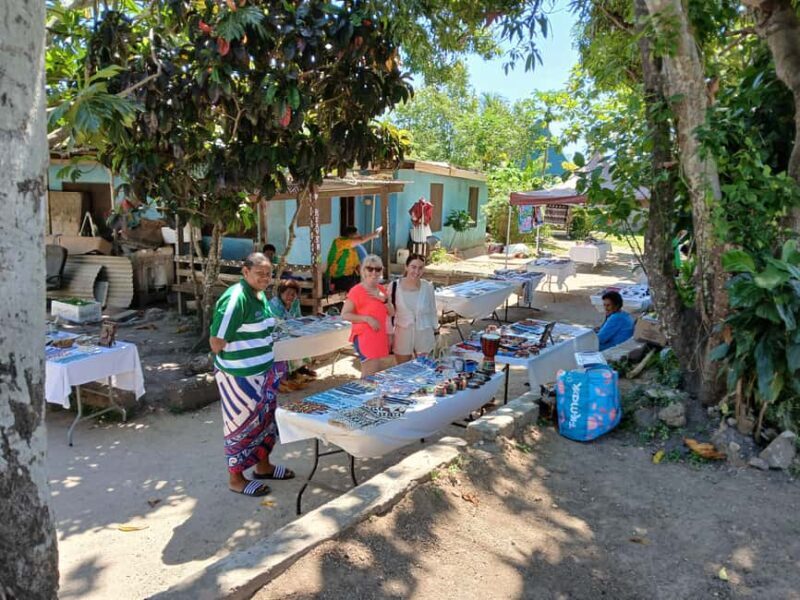 Fiji: Discover Nadi with Sabeto Hotspring and Mudpool Tour - The Value of This Tour
