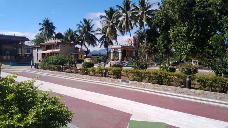 Fiji: Discover Nadi with Sabeto Hotspring and Mudpool Tour - Who Should Consider This Tour?