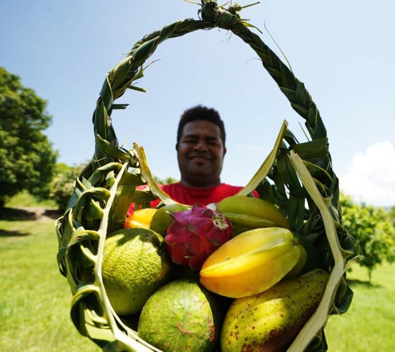 Fiji: Farm Tour: Animals, Honey Tasting & Fijian Cooking - A Genuine Dive into Fiji’s Organic Farming Scene