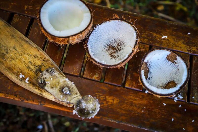 Fiji: Farm Tour: Animals, Honey Tasting & Fijian Cooking - Honey Tasting & Hive Technology: Sweetness from the Source