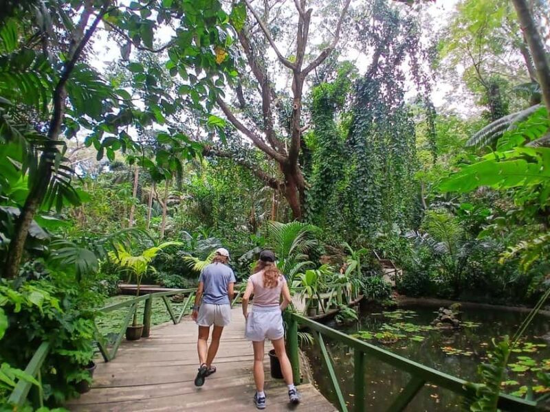 FIJI: Garden of the Sleeping Giant - Introduction: Why Consider the Garden of the Sleeping Giant?