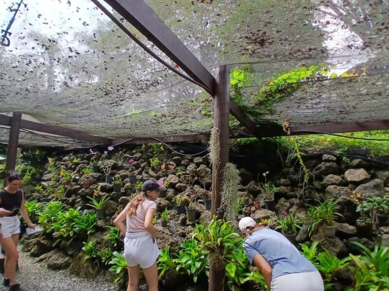 FIJI: Garden of the Sleeping Giant - What the Guides and Visitors Say