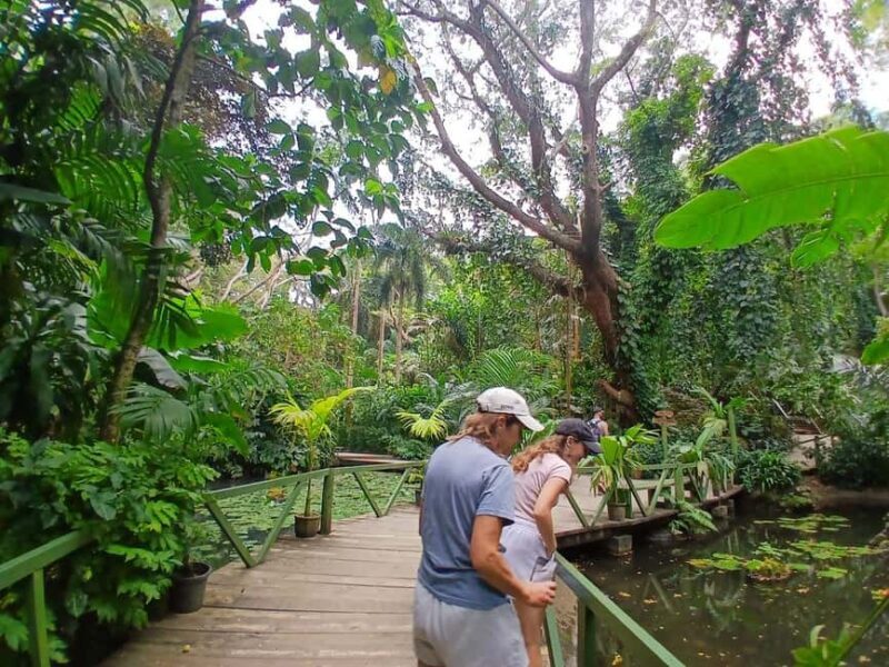 FIJI: Garden of the Sleeping Giant - Pricing and Value
