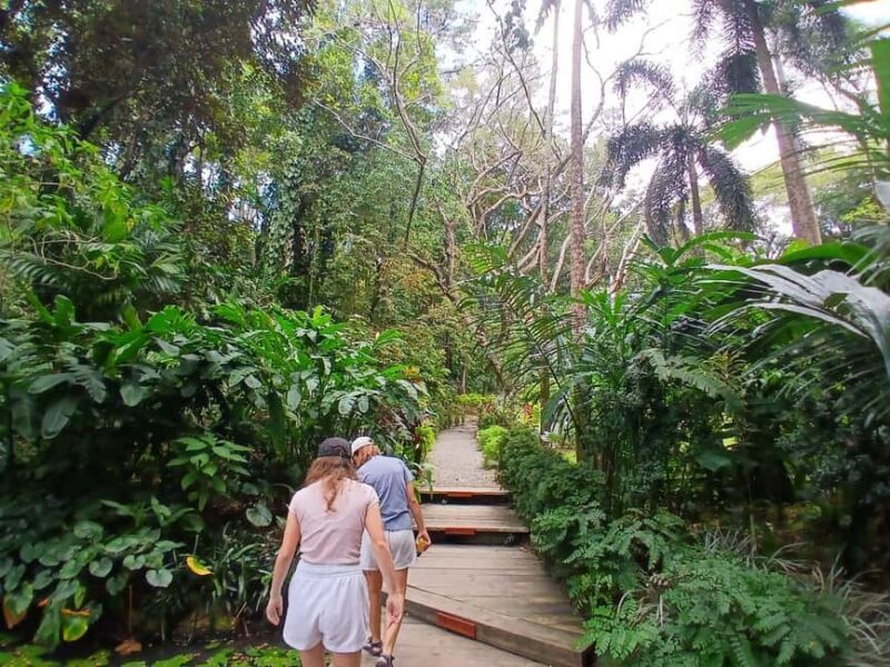 FIJI: Garden of the Sleeping Giant - Who Is This Tour Best For?
