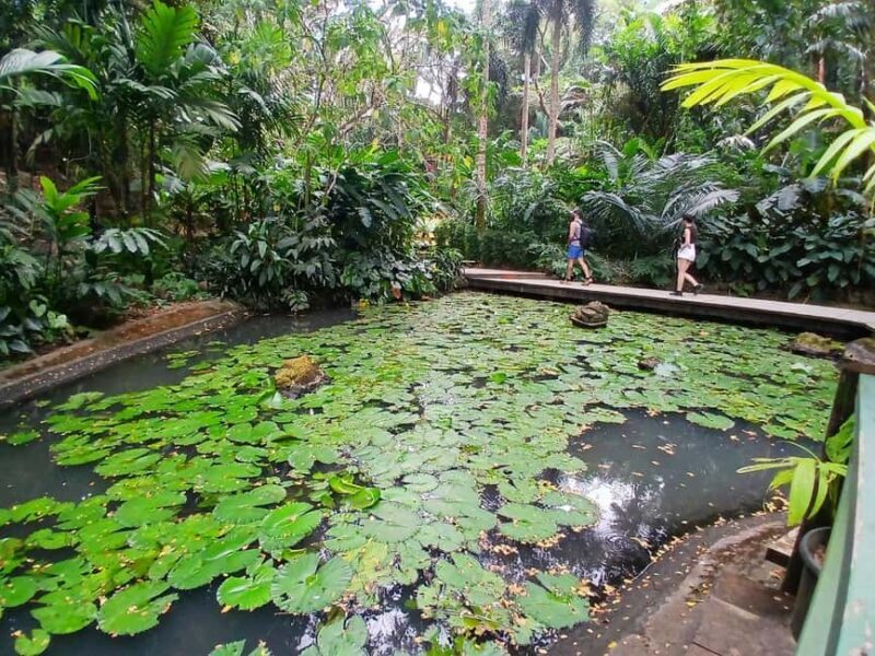 FIJI: Garden of the Sleeping Giant - FAQs