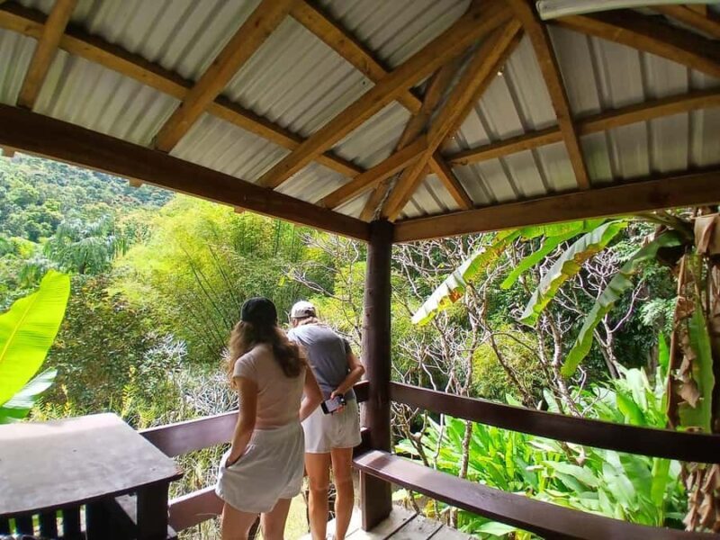 FIJI: Garden of the Sleeping Giant Tour - Who Will Love This Tour?