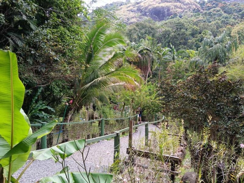 FIJI: Garden of the Sleeping Giant Tour - Final Thoughts
