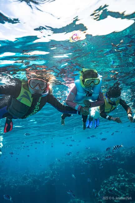 Fiji: Kuata Island Marine Conservation Experience Full Day - Final Thoughts