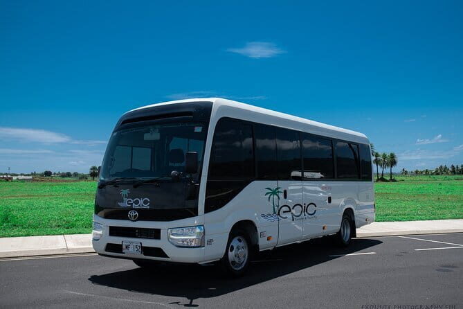 Fiji Marriott Resort Momi Bay To Nadi Airport or Denarau (Departure Transfer) - Who is This Transfer Best For?