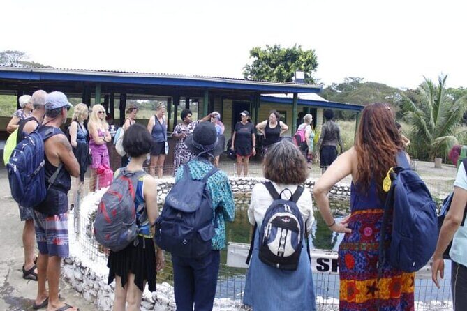FIJI Official Sabeto Hotspring and Mudpool Entry Fee Tickets Only - What to Expect at Sabeto Hot Springs and Mudpool