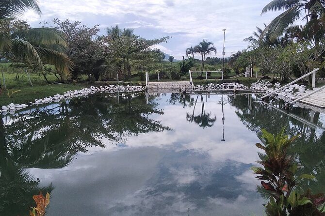 FIJI: Official Tifajek Mud Pool and Hot Spring Tour - Authenticity and Value: Why This Tour Stands Out