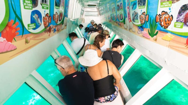 Fiji: South Sea Island Finding Nemo ex Port Denarau - Who Is This Tour Best For?