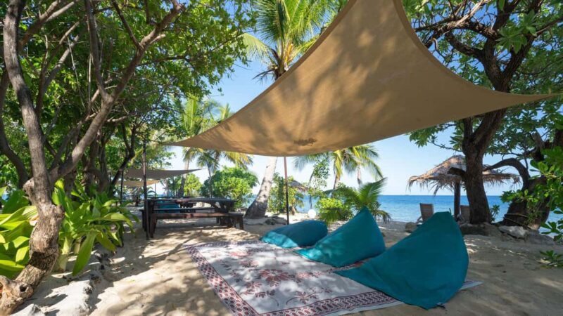 Fiji: South Sea Island Full Day Trip with Lunch & Drinks - Lunch, Culture, and Entertainment