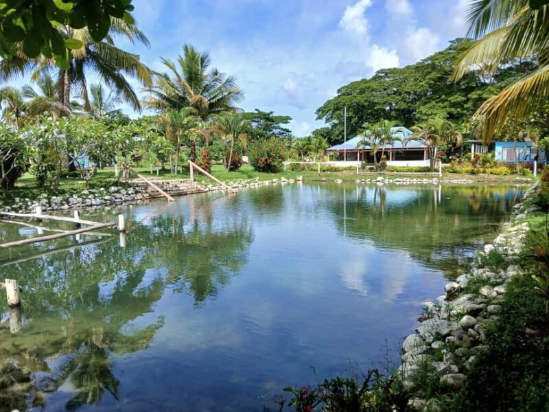 Fiji: Tifajek Mud Pool & Hotspring Tours & Tickets - Final Thoughts: Who Will Enjoy Tifajek?