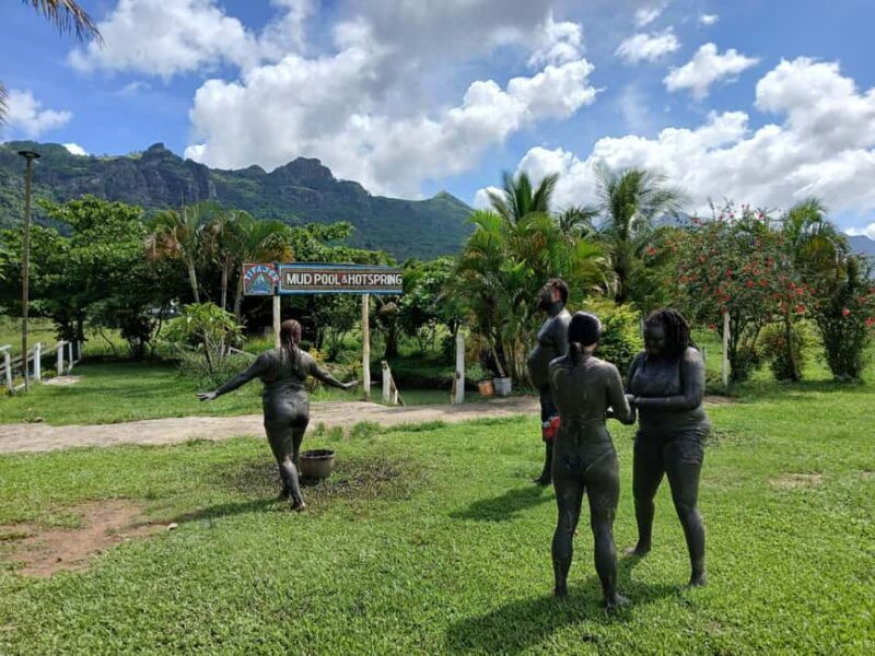 Fiji: Tifajek Mud Pool & Hotspring Tours & Tickets - Final Words