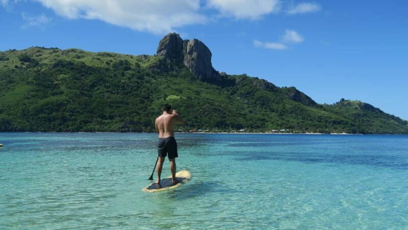 Fiji: Ultimate Encounters Snorkel with Sharks and Lunch - The Sum Up
