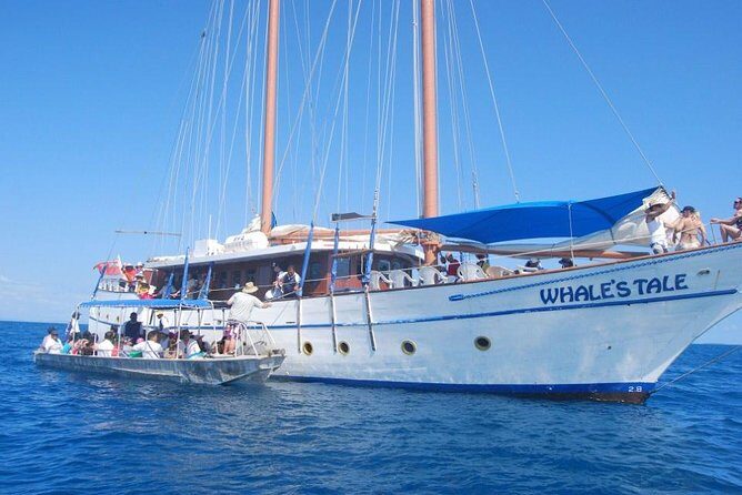 Fijian Islands and Snorkel Full-Day Whales Tale Cruise including Beach BBQ Lunch - Setting Sail on a Dreamy Schooner