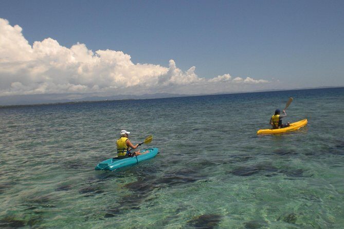 Fijian Islands and Snorkel Full-Day Whales Tale Cruise including Beach BBQ Lunch - Sailing and the Return Journey