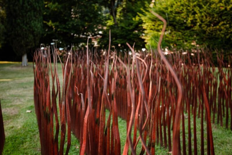 FILANDETTA PARK WINE & ART FARM: FOUNDER'S TOUR - An Introduction to the Experience
