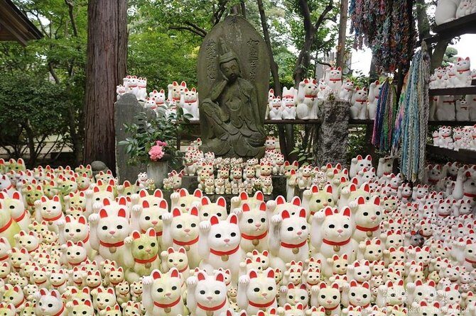 Find out tasty and historical places - Key Points