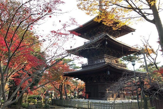 Find out tasty and historical places - Final Thoughts: Who Should Consider This Tour?