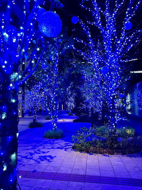 Find Yokohama's Hidden Gem: Walking Tour with Local Guide - Final Thoughts: Who Will Love This Tour?