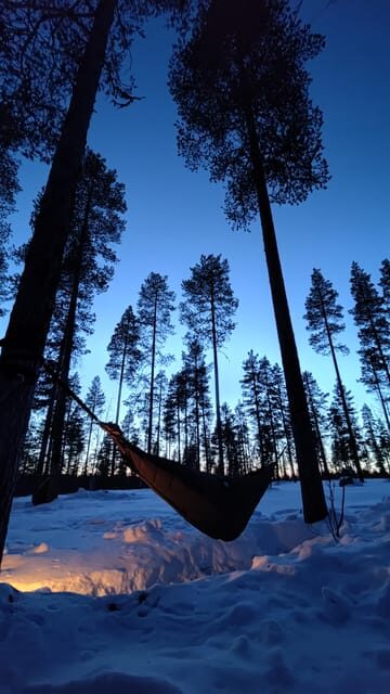 Finland Levi: Arctic Cocooning Experience in HaliPuu Forest - Key Points