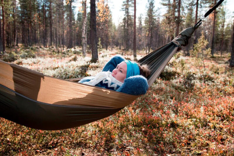 Finland Levi: Arctic Cocooning Experience in HaliPuu Forest - Who Should Consider This Tour?