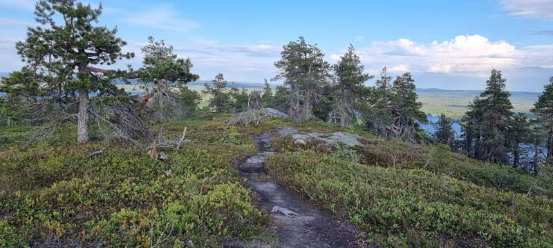 Finnish Lapland: Midnight Sun Hike in Riisitunturi np - Key Points