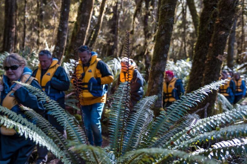 Fiordland: Jet Boat & Nature Walk Experience from Te Anau - The Itinerary in Detail