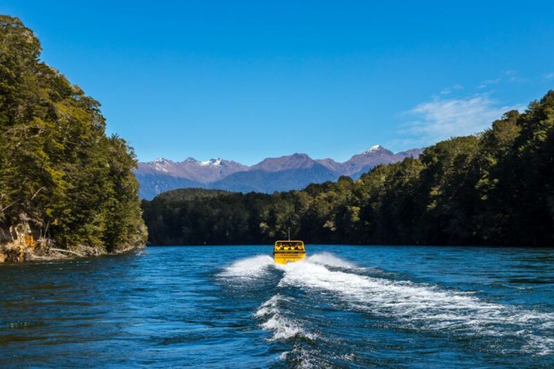 Fiordland: Jet Boat & Nature Walk Experience from Te Anau - The Experience in Action