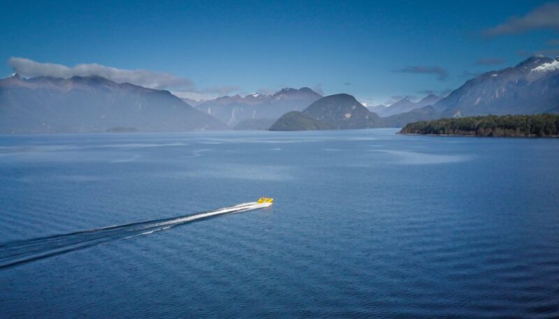 Fiordland: Jet Boat & Nature Walk Experience from Te Anau - The Sum Up