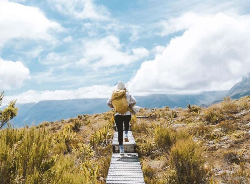 Fiordland: Routeburn Track and Key Summit Guided Day Walk - A Closer Look at the Itinerary and Experience