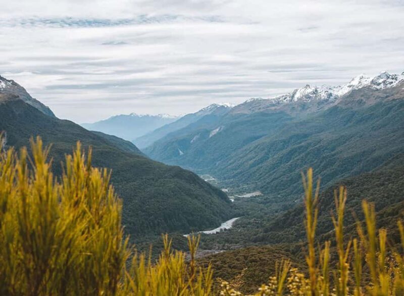 Fiordland: Routeburn Track and Key Summit Guided Day Walk - Authenticity and Practical Tips