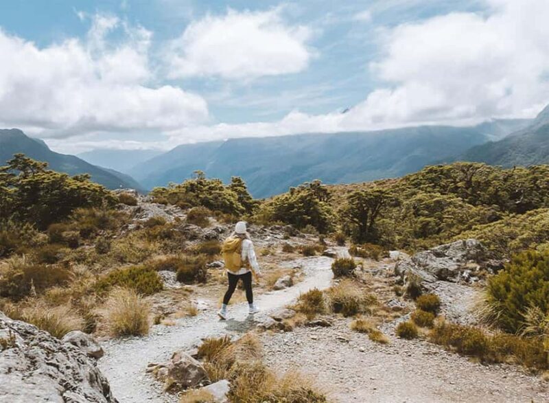 Fiordland: Routeburn Track and Key Summit Guided Day Walk - FAQ