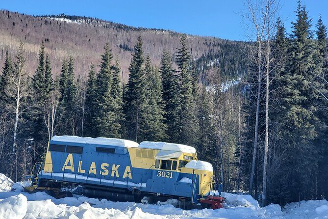 Fire & Ice: Chena Hot Springs, Ice Museum + Aurora Adventure - What to Expect from Your Alaska Night Tour