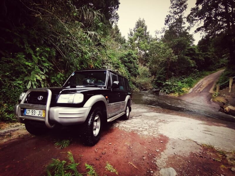 Fire Lake, Pineapple & Tea: Half-Day Jeep Tour - Setting the Scene: What’s This Tour All About?