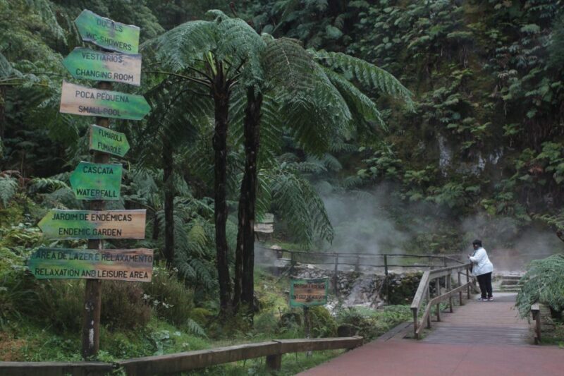 Fire Lake & Tea Factory & Pinneaple - Key Points