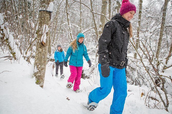 Fire Man Guided Snowshoe Tour - The Sum Up: Who Will Love This Tour?