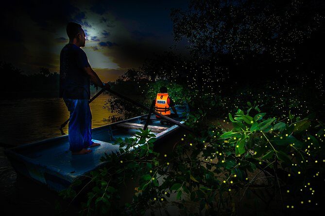 Fireflies and Hots Spring Nature Tour by KLASH - Key Points