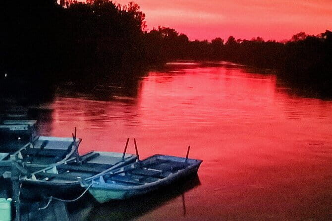 Fireflies Kuala Selangor & Batu Caves (With Fireflies Tickets) - A Closer Look at the Tour Experience