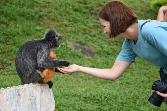 Fireflies Tour (Private Tour) - Deep Dive into the Details