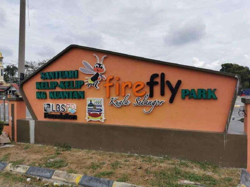 Firefly, Eagle Feeding, and Blue Tears Kuala Selangor Tour - Practical Tips for Your Trip