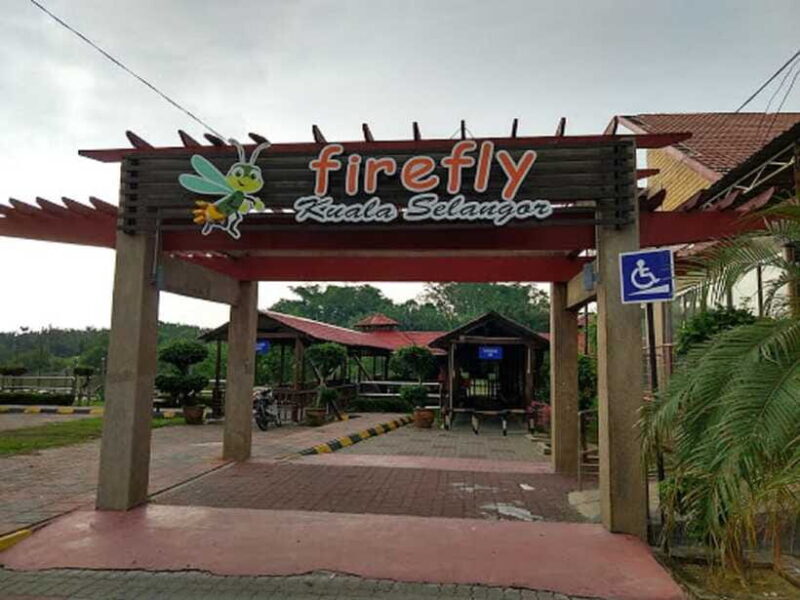 Firefly, Eagle Feeding, and Blue Tears Kuala Selangor Tour - Final Thoughts