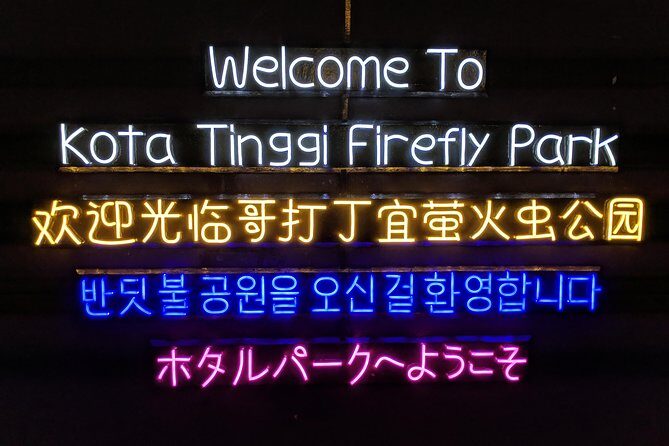 Firefly Tour Johor Bahru@Kota Tinggi Firefly Park - Analyzing the Value and Practicalities